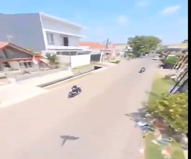 parrot-s-fantastic-trip-with-a-phone-in-viral-video-shocks-netizens